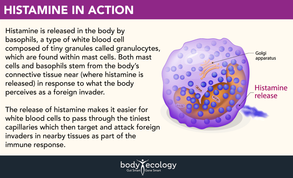 Managing Histamine Intolerance | Body Ecology
