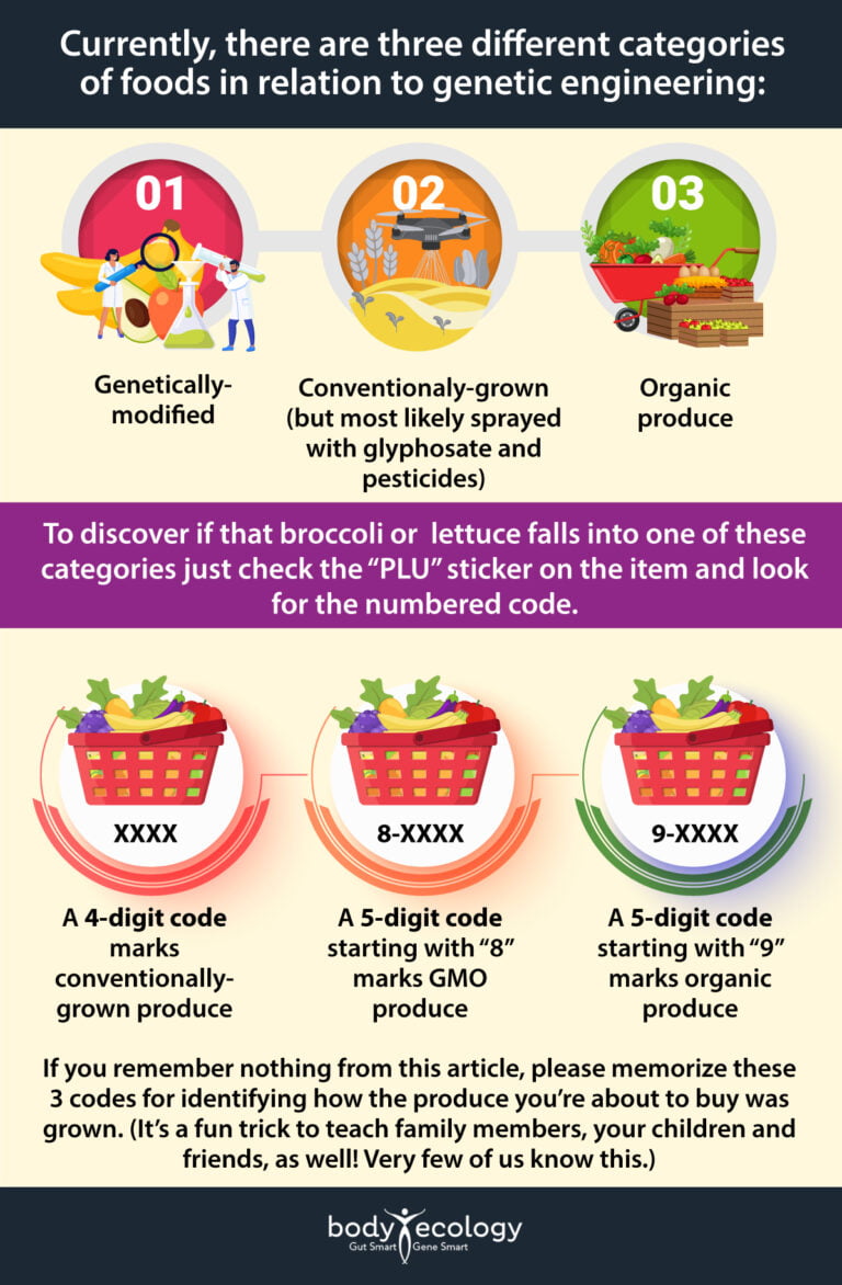 The Shocking Facts about Genetically-Modified Food! | Body Ecology